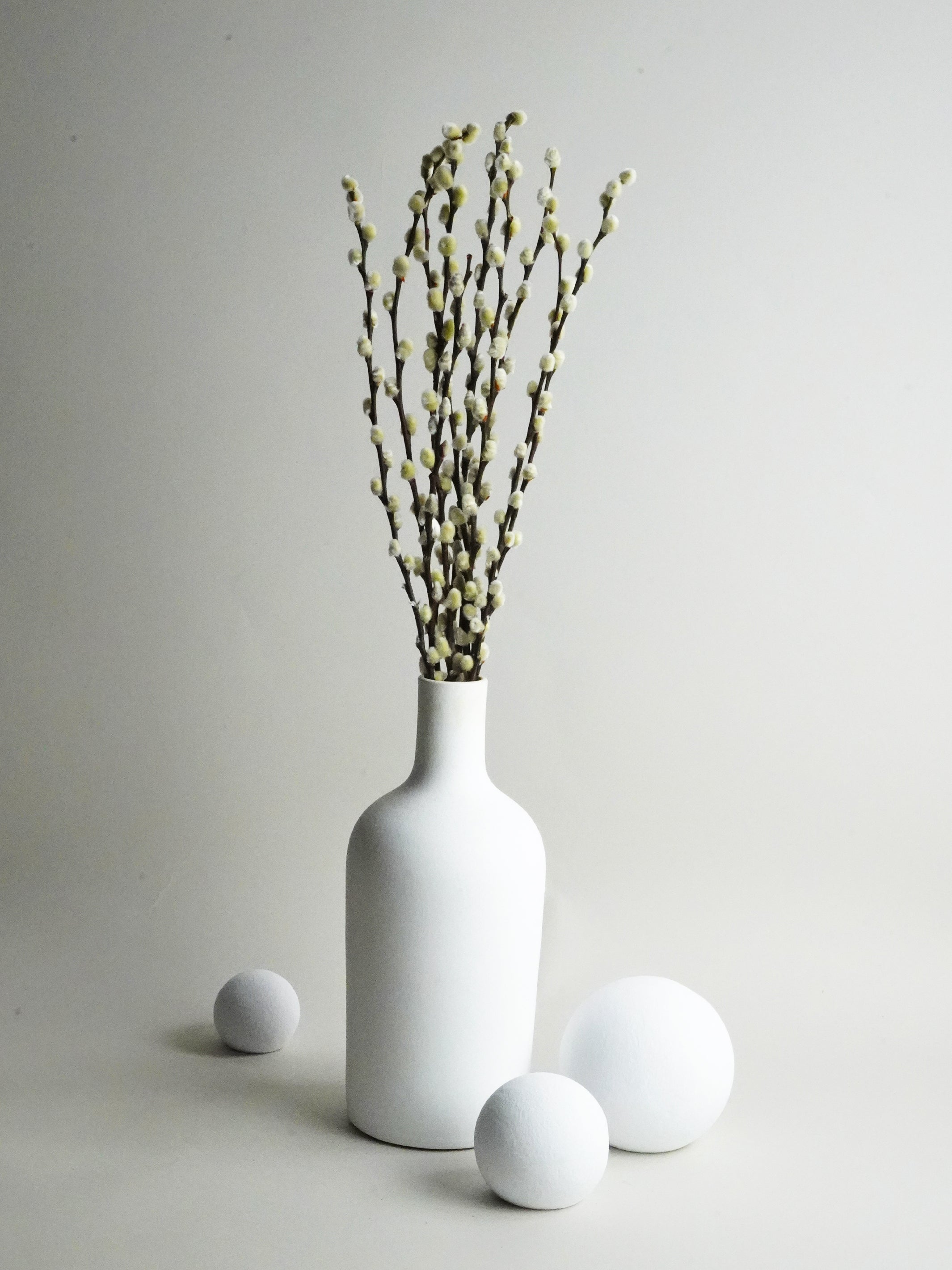 Salix Preservada | Flores secas | Ramos | nāu green