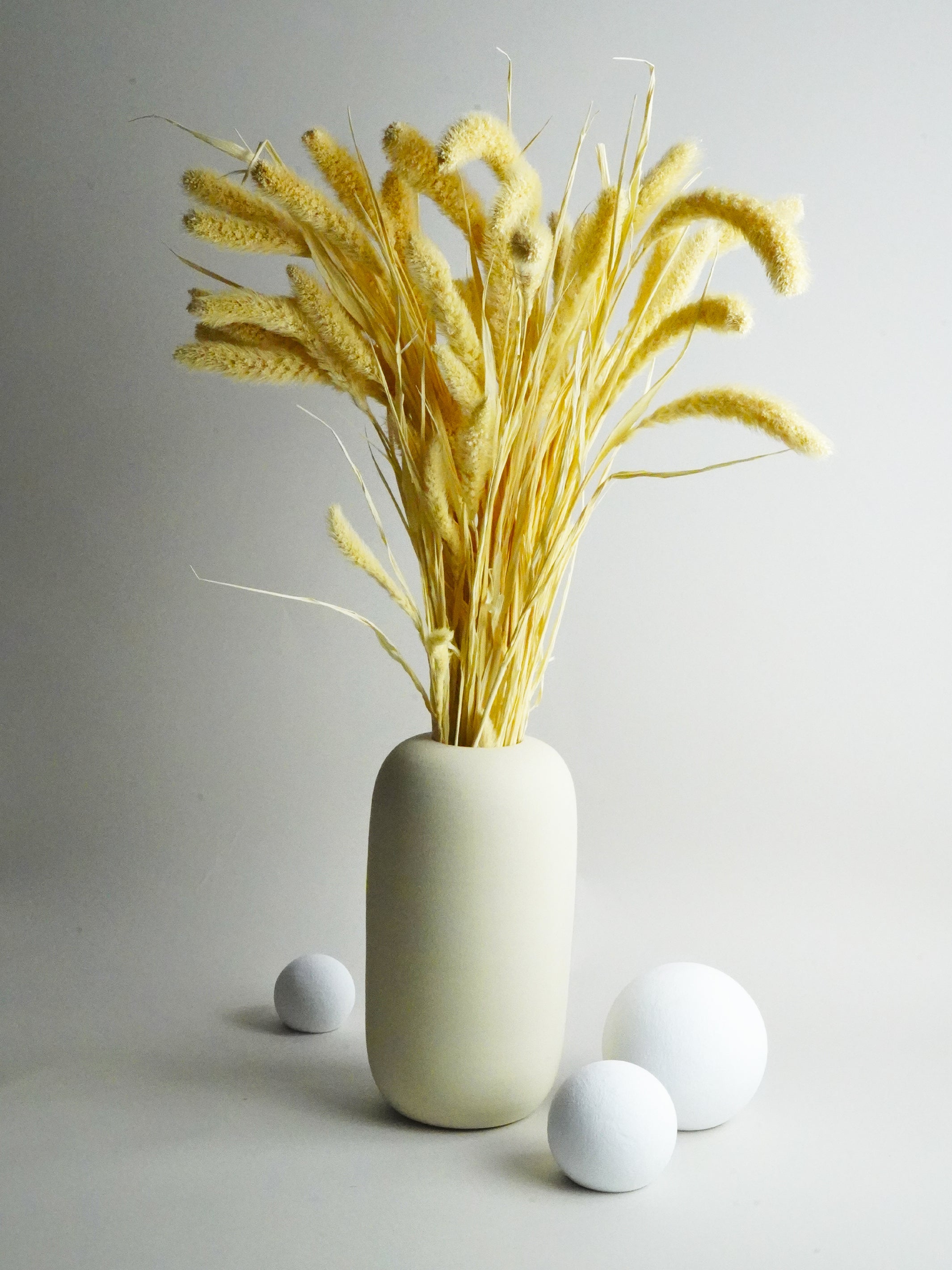 Setaria | Dried Flowers | Preserved | Bouquet | Corsage | Nau Green ...