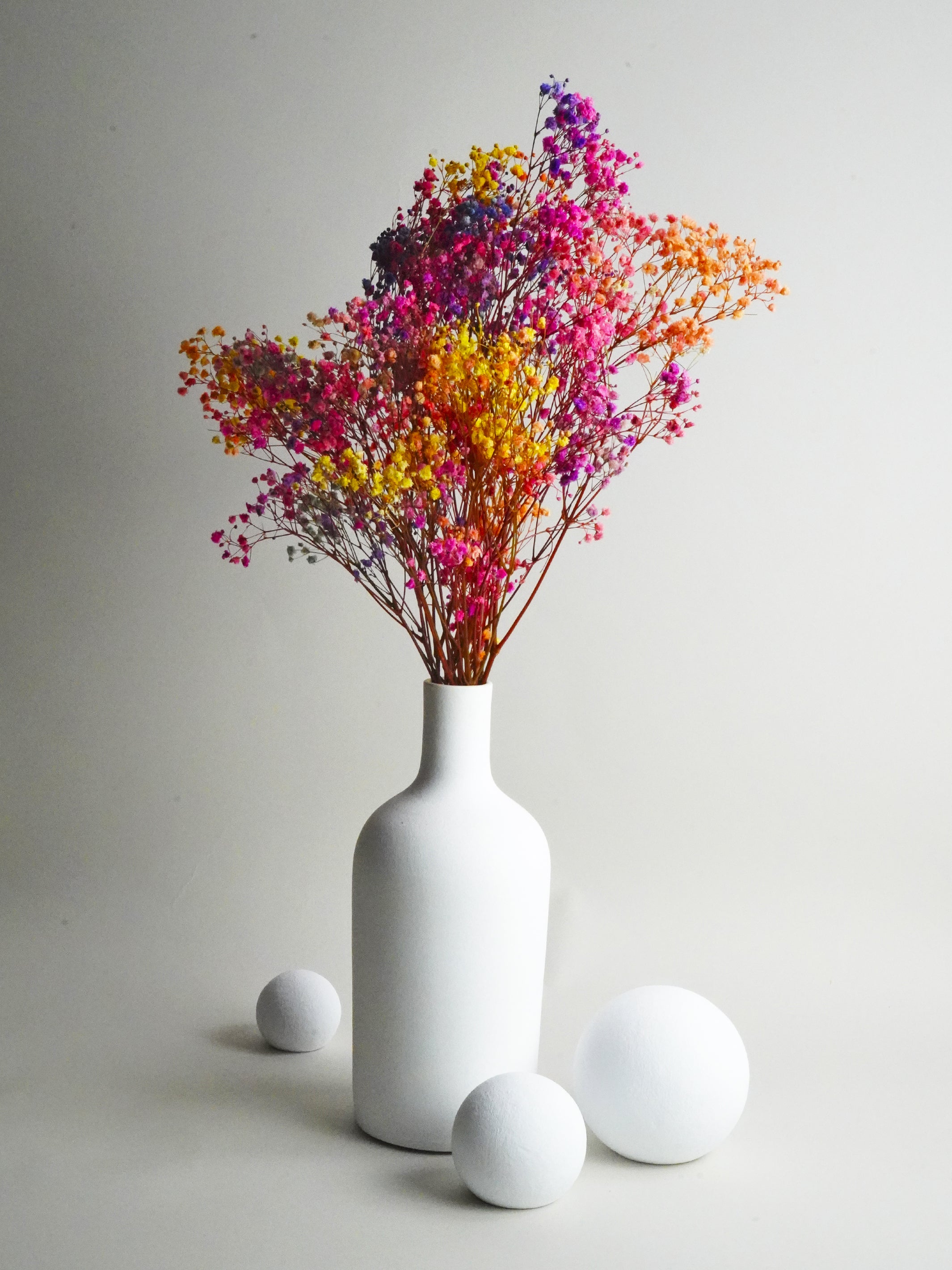 Paniculata Preserved | Dried flowers | Ramos | nāu green